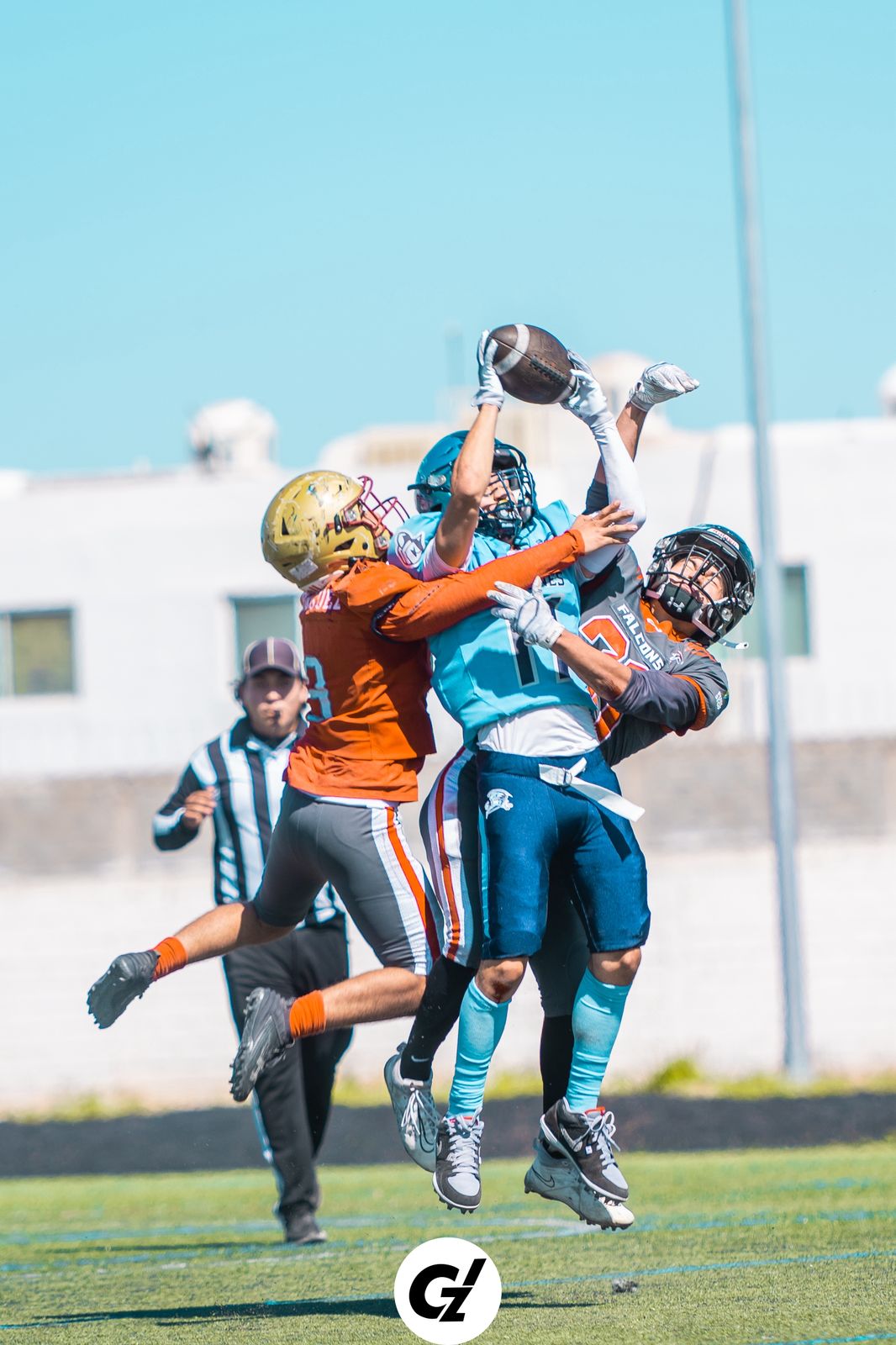 Create Your Official Team Website - Football and Flag Club - Cloob Football